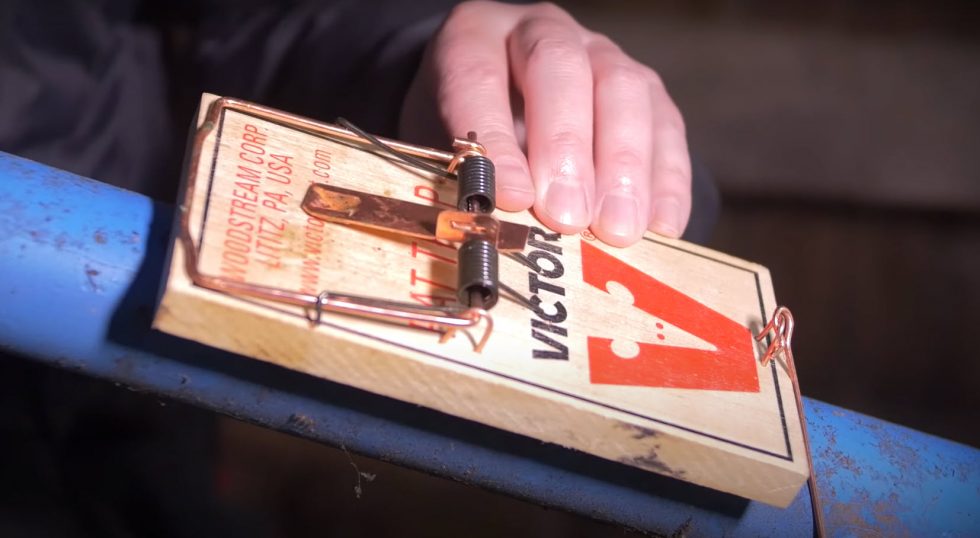 Rodent Control - Trapping - Video Production Vancouver - Award Winning ...